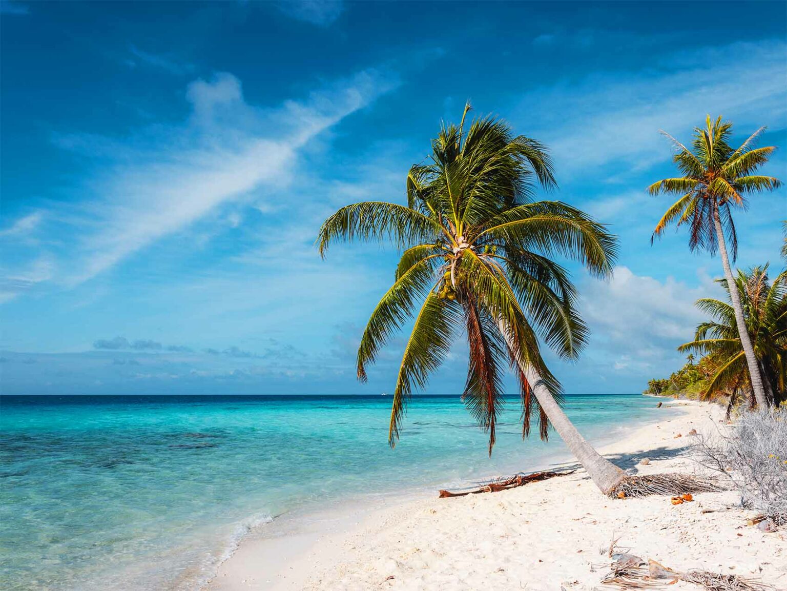 Que faire à Fakarava en Polynésie ? - Voyageurs français