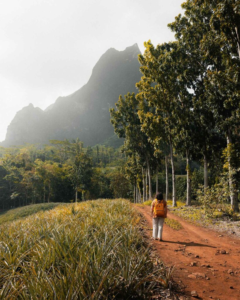 Que faire à Moorea en Polynésie ? - Voyageurs français